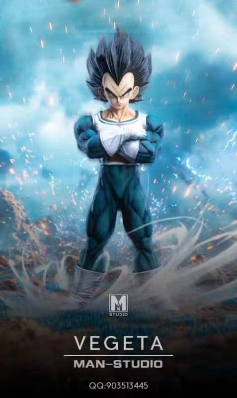MAN - Vegeta – StatueCorp